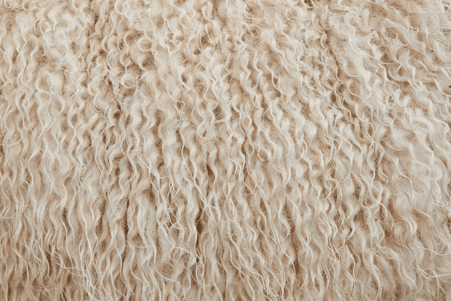 thomas mutton barnsley